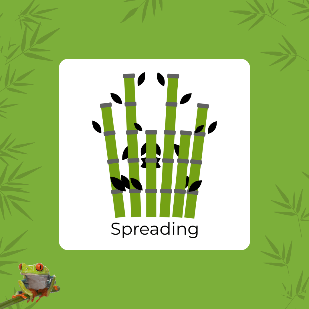 Bamboo - Running - Bamboo Creations Victoria